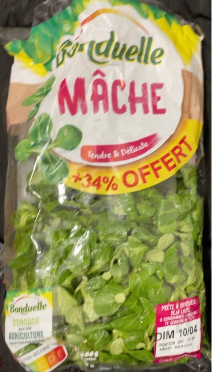 200g Mache 34 Free wholesaler