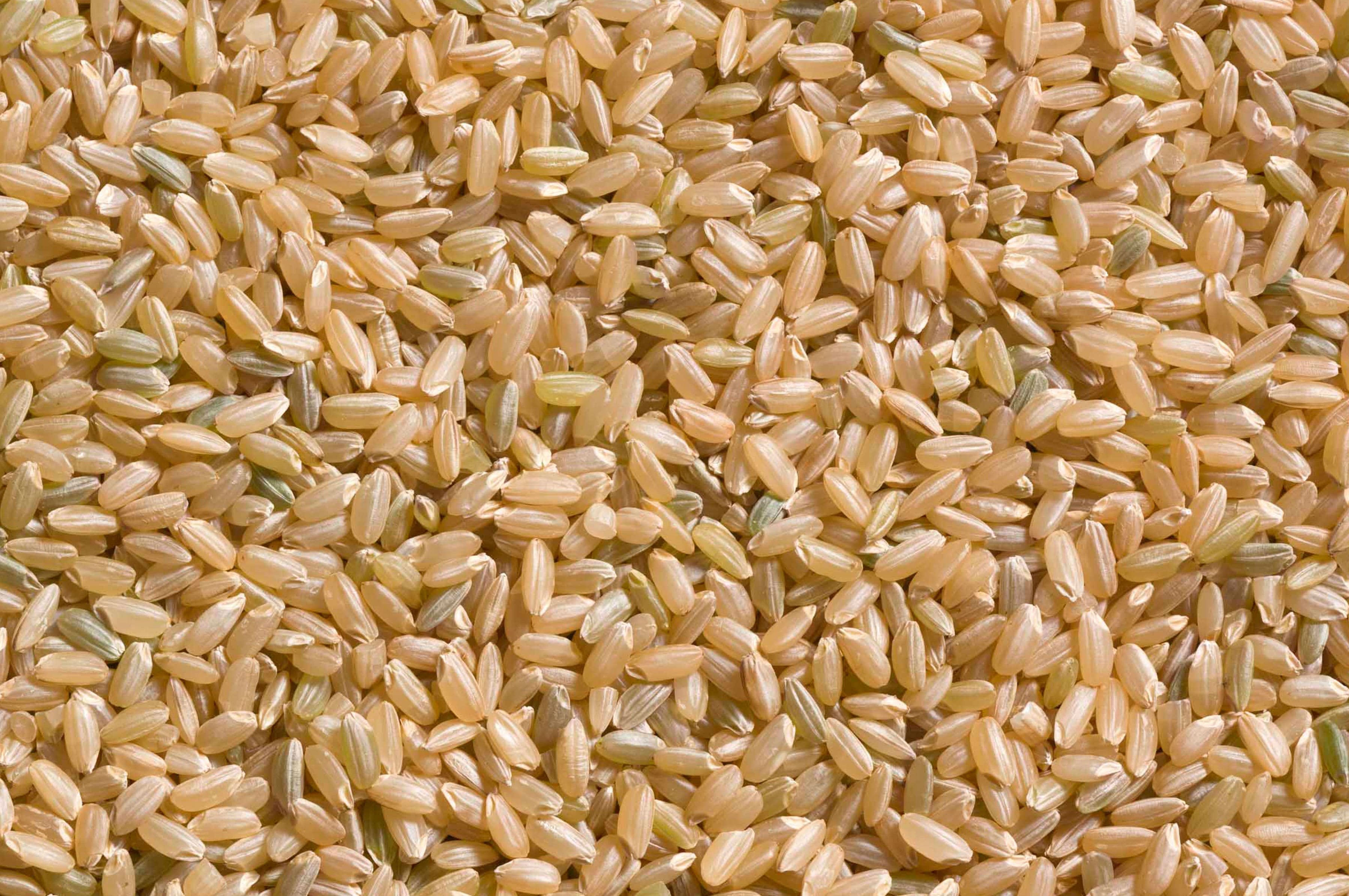 Atacadista de Riz Rond Cargo 25 Kg - RIZ DU MONDE