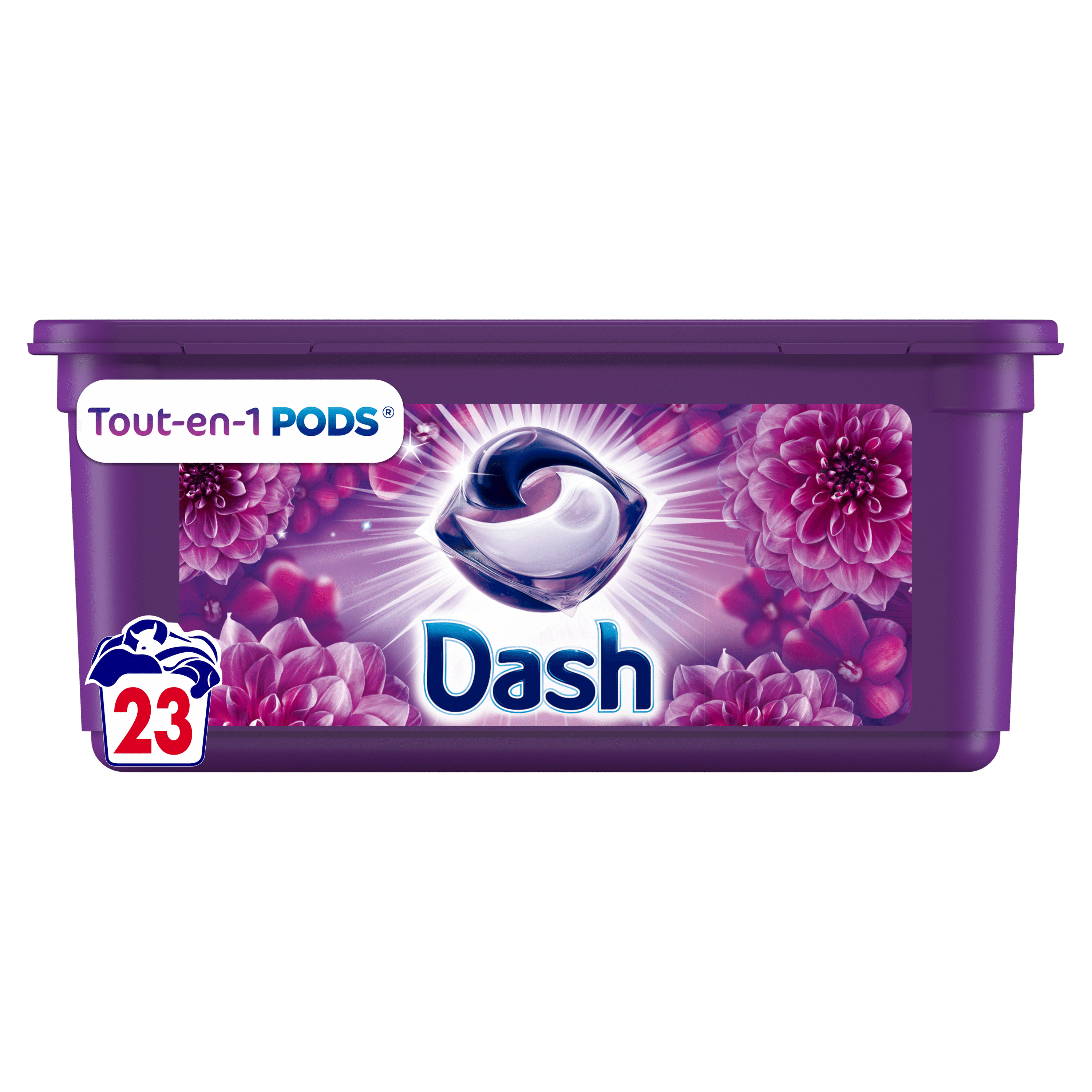 Dash Pods 23d 547 Chg Byat Must wholesaler